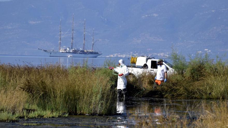 Ιός του Δυτικού Νείλου: Άλλα δύο κρούσματα στην Κεντρική Μακεδονία ...