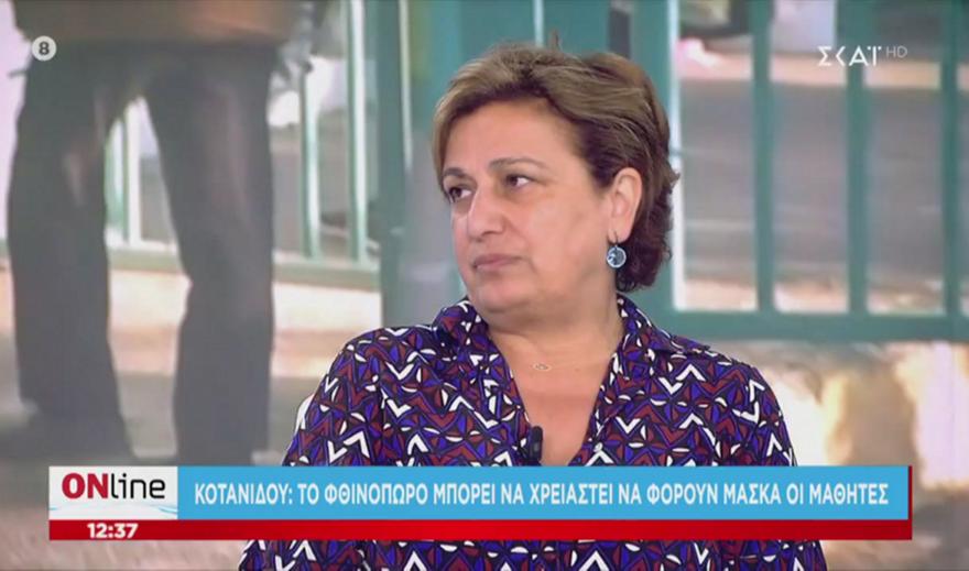 Κοτανίδου: Δεν θα κάναμε αυτό που έκαναν οι Ελβετοί - Επικαιρότητα ...