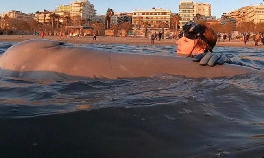 Το μήνυμα της εθελόντριας που τραγουδούσε στη μικρή φάλαινα ...