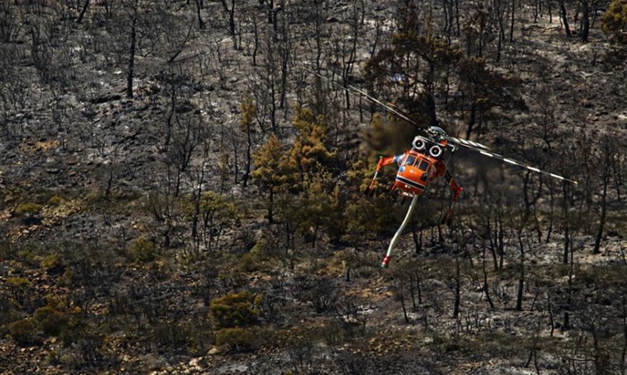 Δάσος Δαδιάς: Βρέθηκαν 26 απανθρακωμένοι μετανάστες - Επικαιρότητα ...